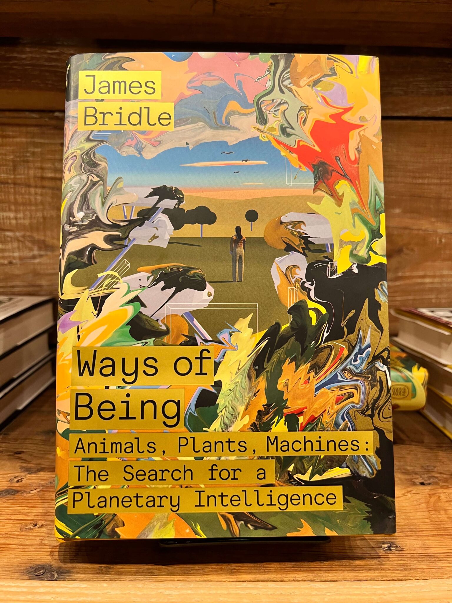 An interview with Vicky Sanz of The Wild Detectives - Books Forward